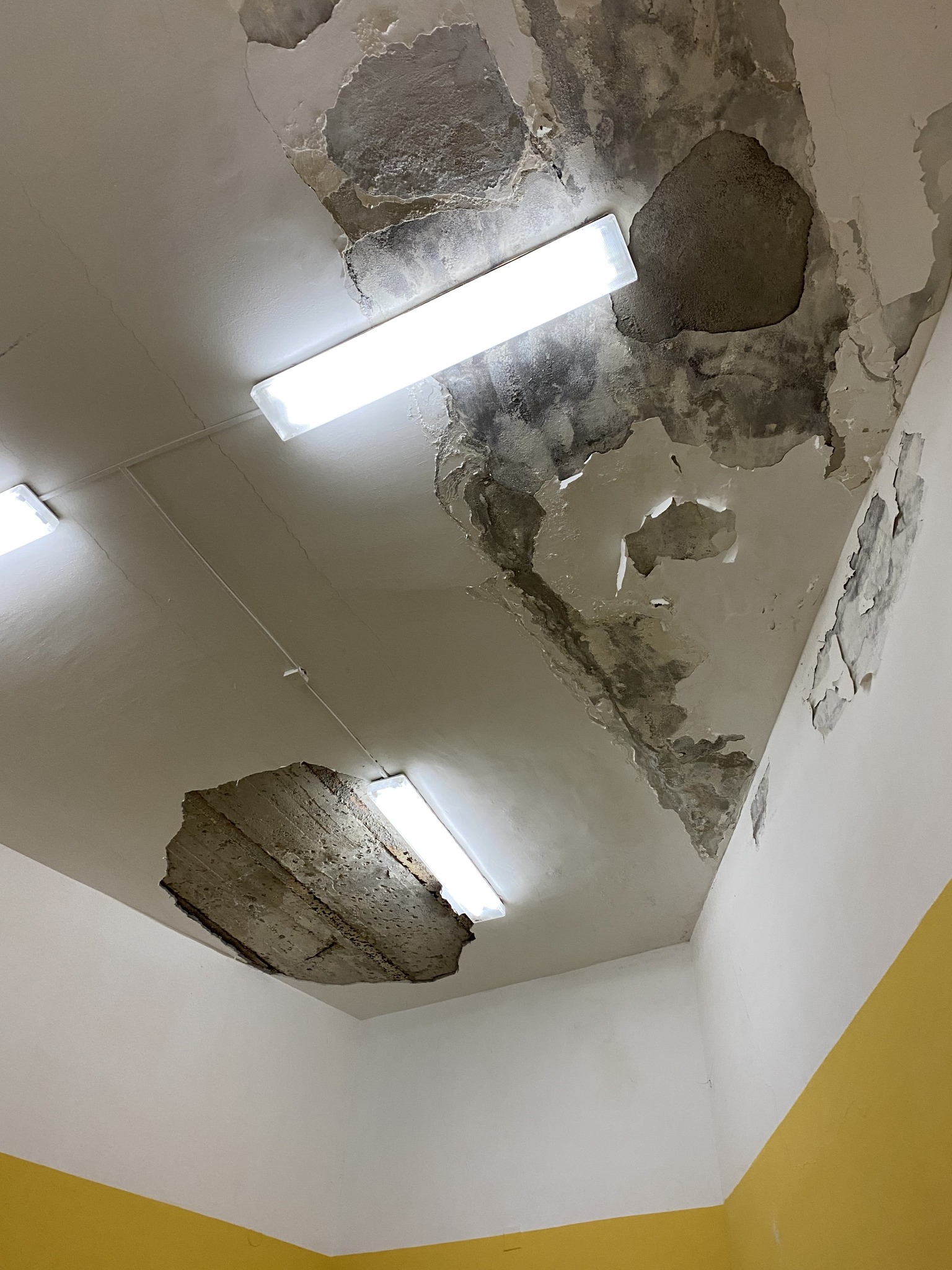 A Pollena Trocchia, la denuncia della Proloco sullo stato dei luoghi ...